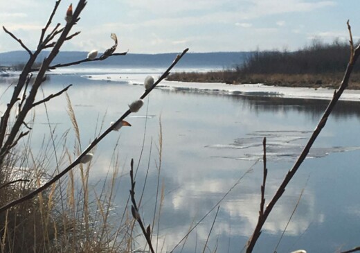 Old Town Cabins – In Lesser Slave Lake